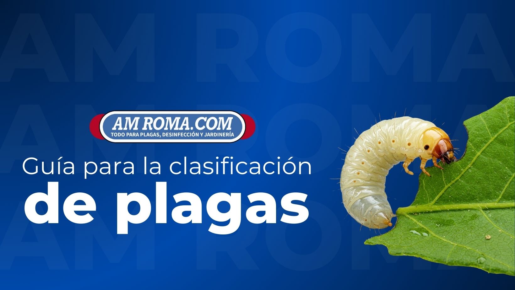 Guía para la clasificación de plagas | AM ROMA